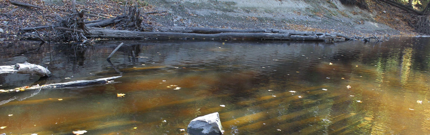 Sangamon River Mill | Historic Landmark in Decatur, IL - Macon County ...